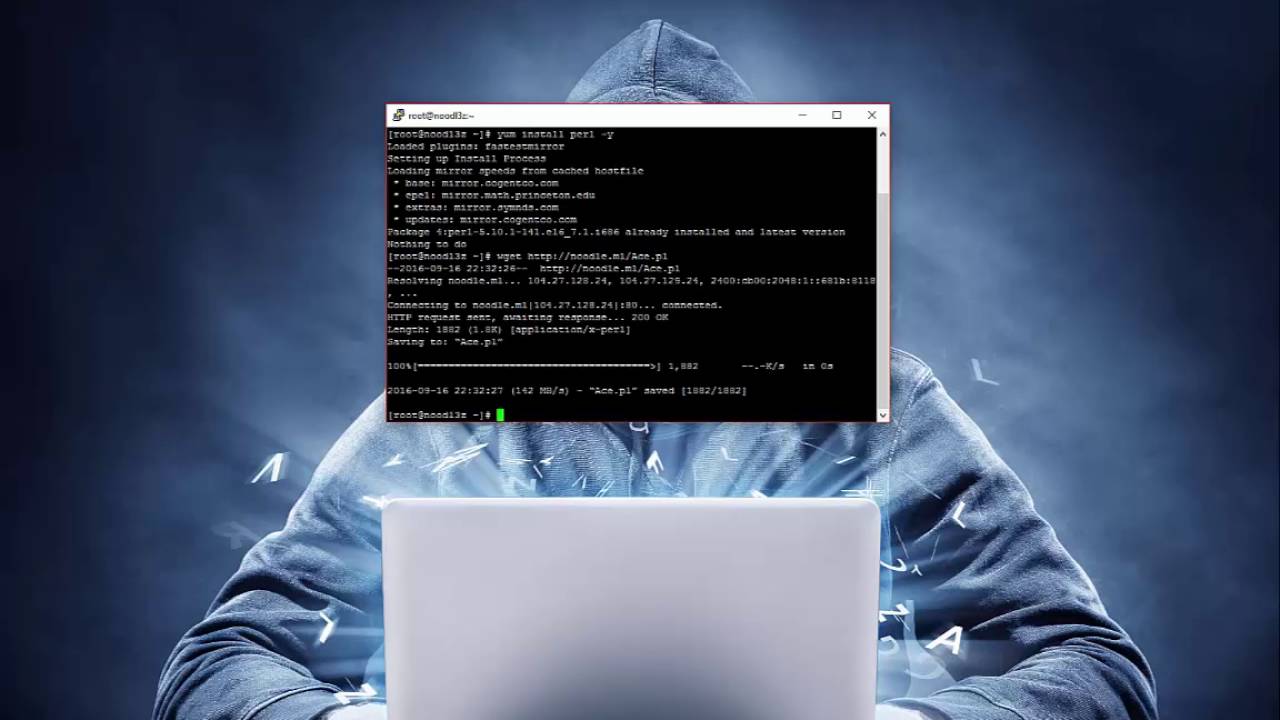 美国VPS Hostwinds 详细教程，购买、续费、连接等Hostwinds新手教程详细汇总-VPS1352主机测评