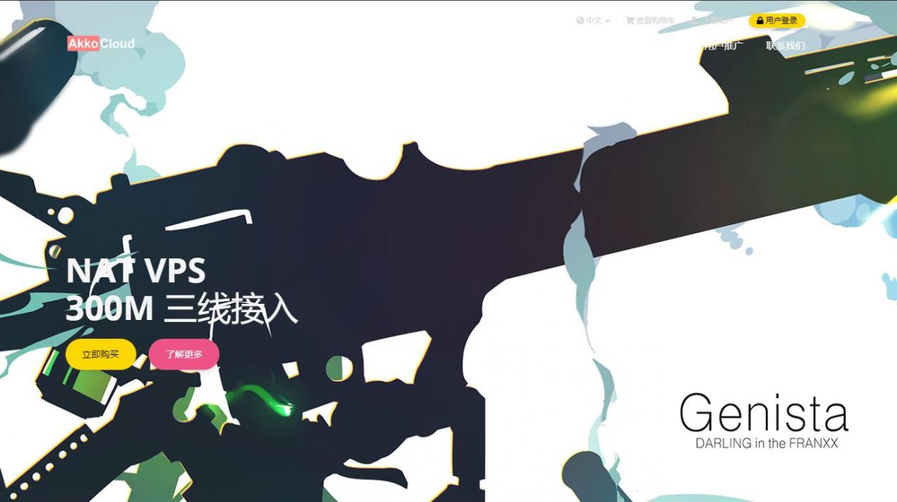 CN2 GIA 线路美国VPS AkkoCloud测评推荐-VPS1352主机测评