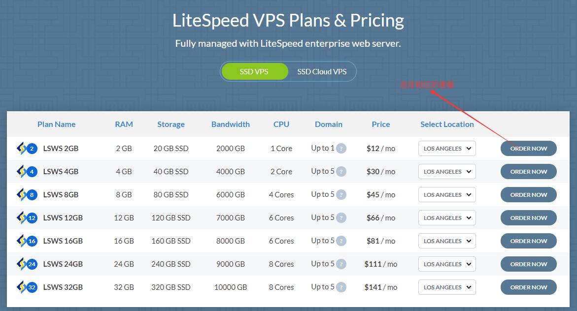 I/O Zoom 建站VPS推荐 – LiteSpeed Web服务器 – 速度超快-VPS1352主机测评